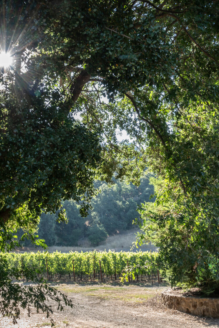 Visit - Priest Ranch Winery