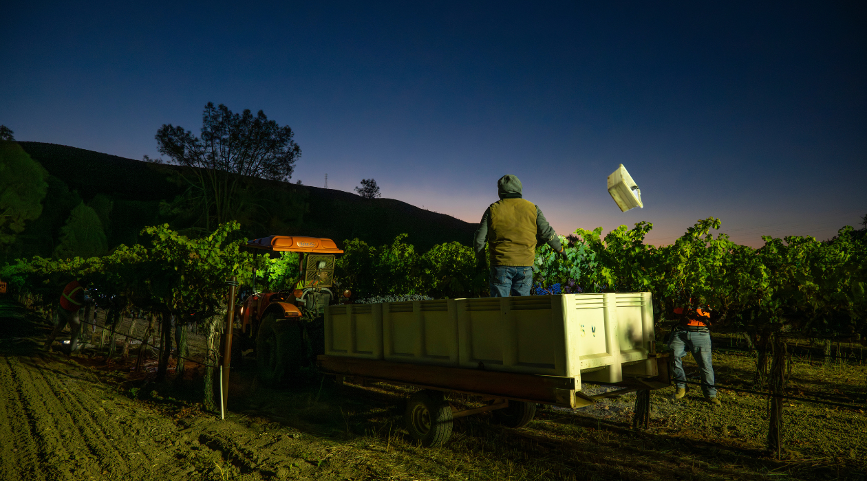 Celebrating Legacy: Introducing the 2019 Priest Ranch James Joshua ...